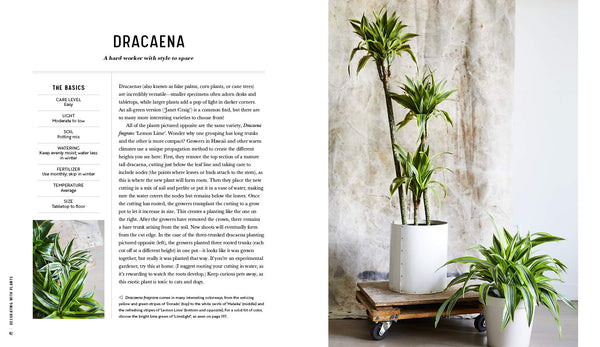 Decorating with Plants Book – JAK W